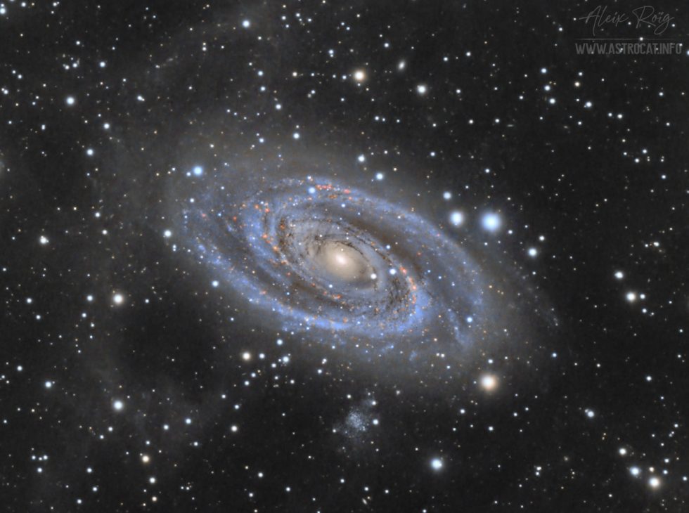 Integrated Flux Nebula around M81 and M82 | Astrocat
