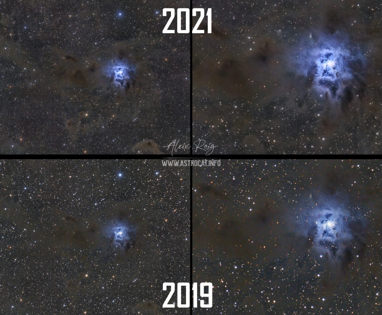 Iris Nebula, NGC 7023 | Astrocat