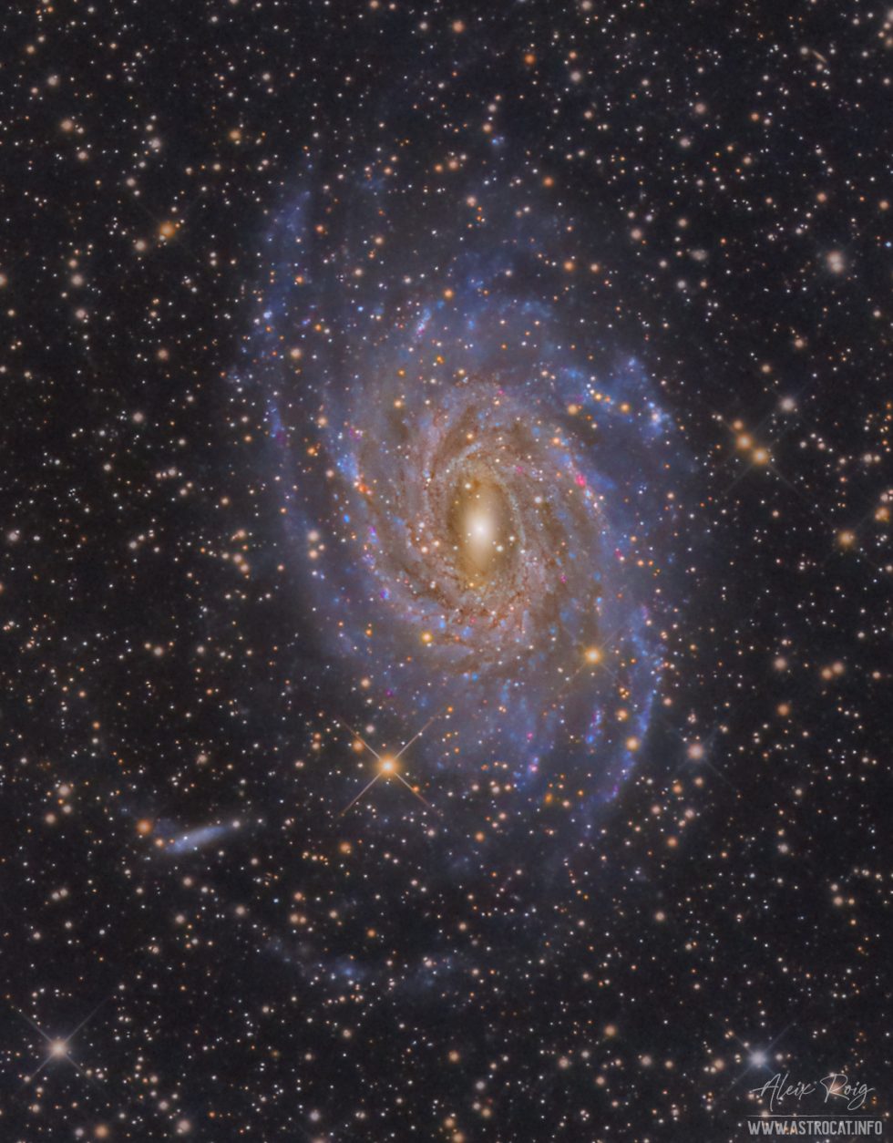 NGC 6744 spiral galaxy surrounded by IFN | Astrocat