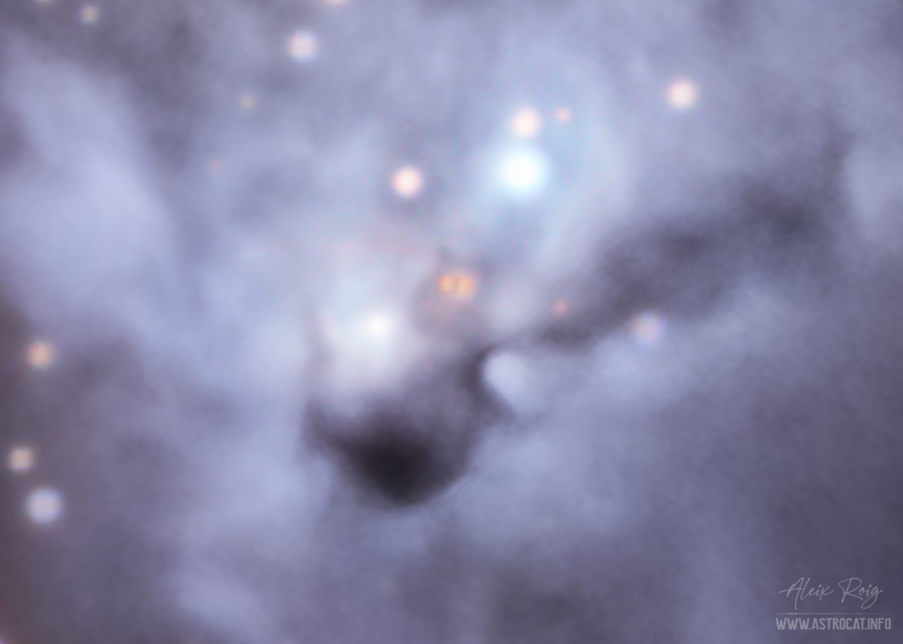 NGC 1788 and the Cosmic Bat | Astrocat