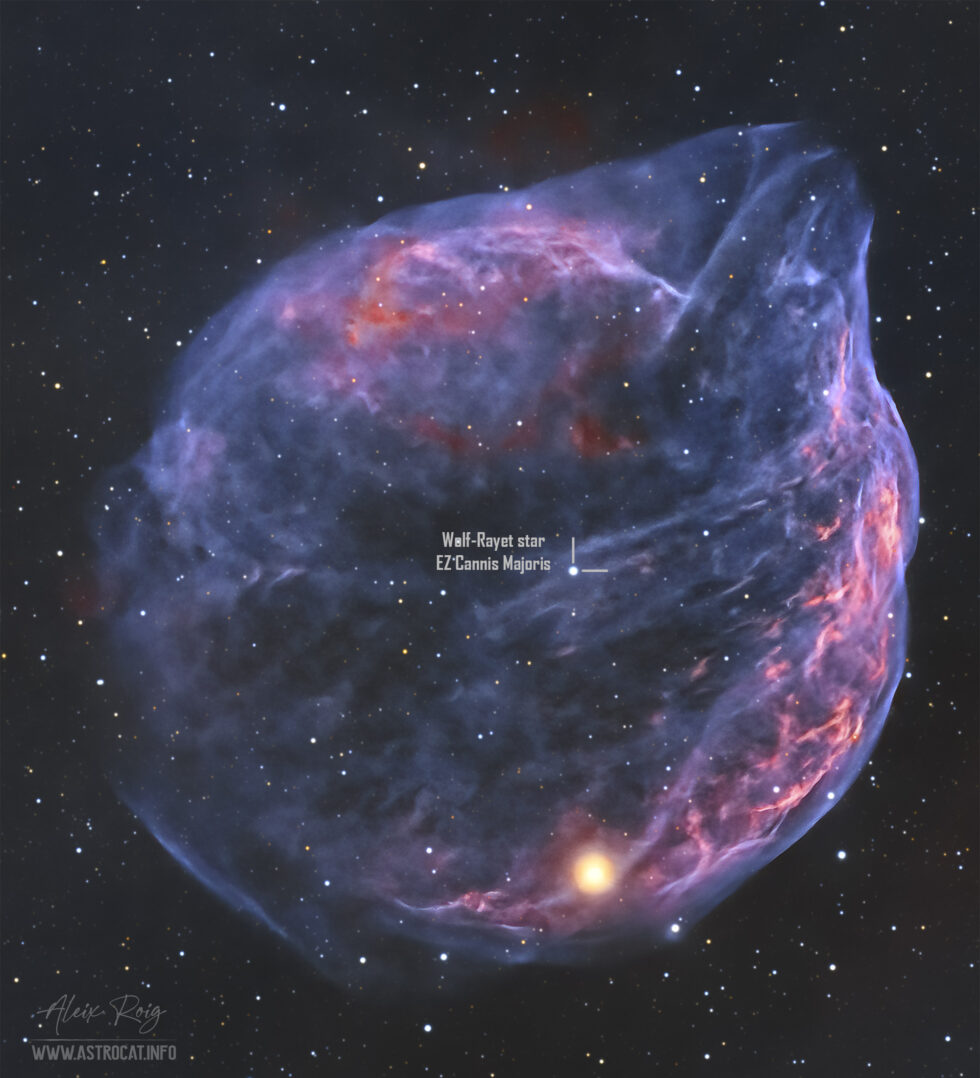 Sharpless-308: The Dolphin Nebula and its Wolf-Rayet star | Astrocat