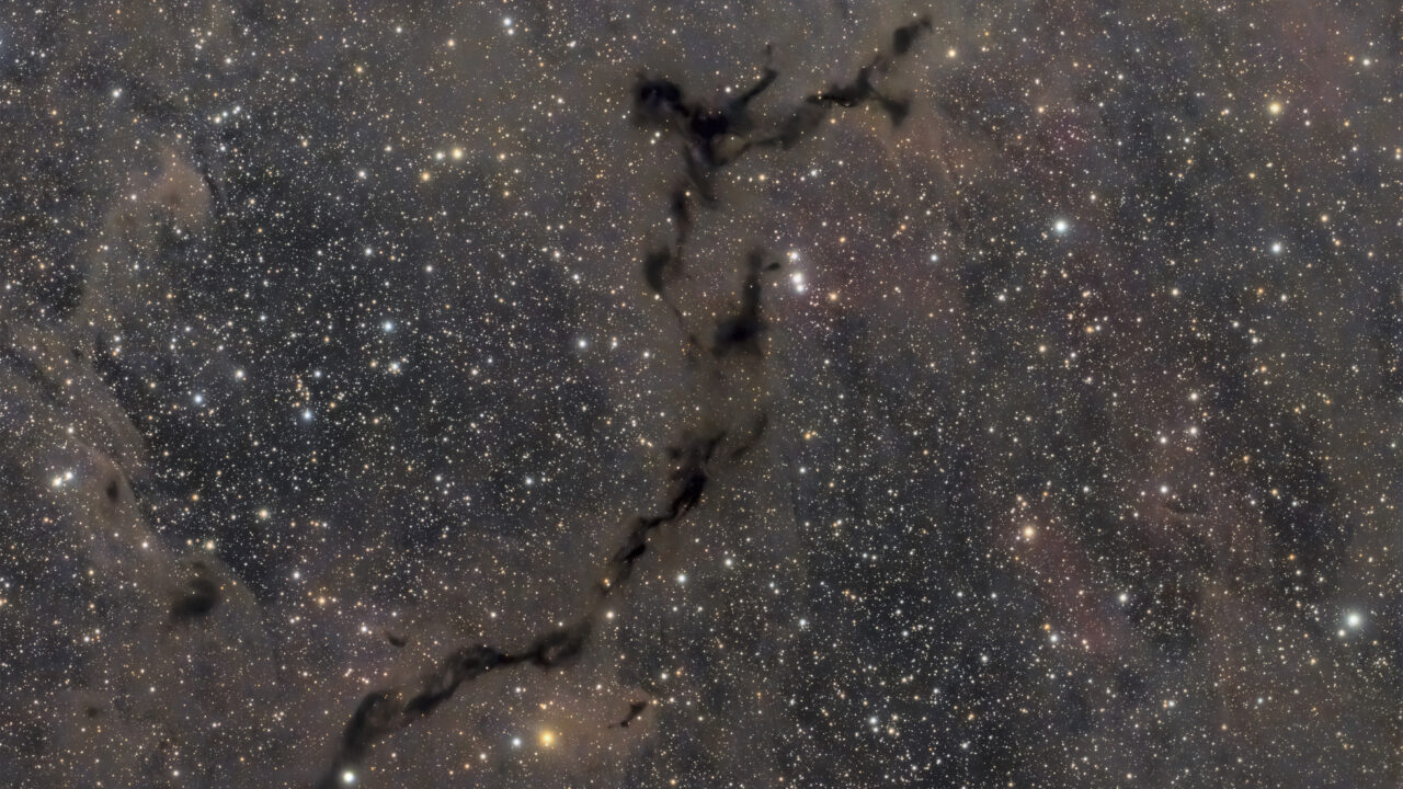 Barnard 150, Seahorse in Cepheus | Astrocat