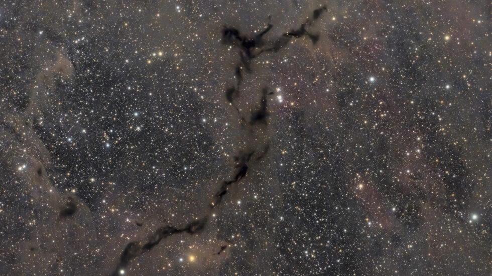 Barnard 150, Seahorse in Cepheus | Astrocat